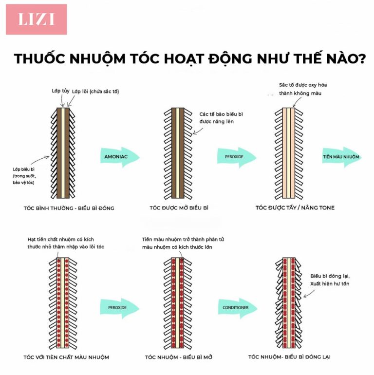 Thuốc nhuộm tóc hoạt động như thế nào? Góc nhìn khoa học